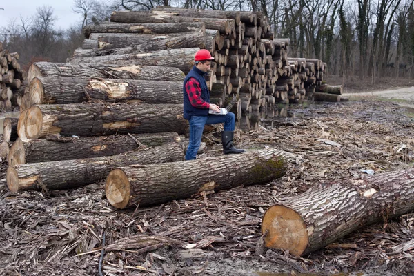 Lumbering Stock Photos, Royalty Free Lumbering Images | Depositphotos