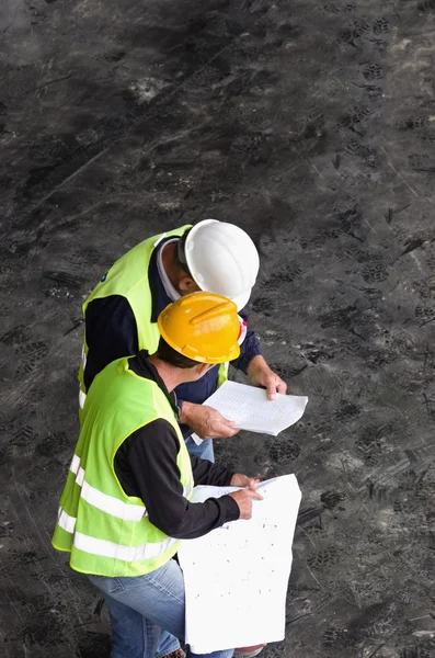 Contractor reading plan Stock Photos, Royalty Free Contractor reading ...