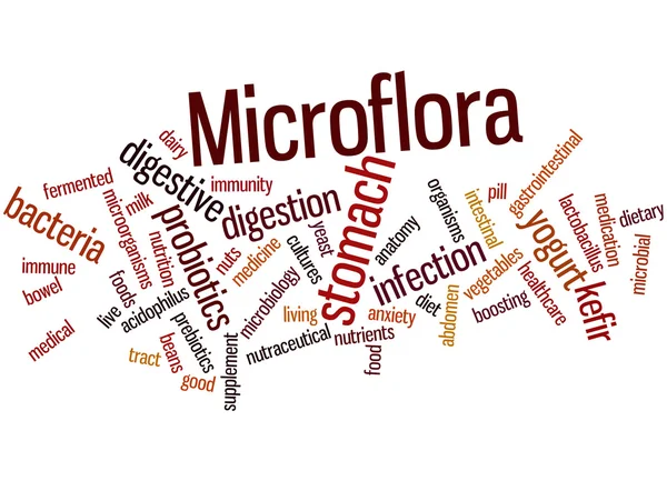 Microflora, word cloud concept 5 — Stock Photo © kataklinger #111628076