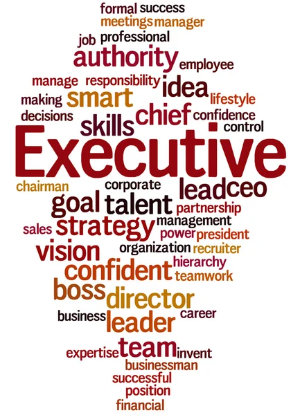 Succession Planning, word cloud concept 2 Stock Photo by ©kataklinger ...