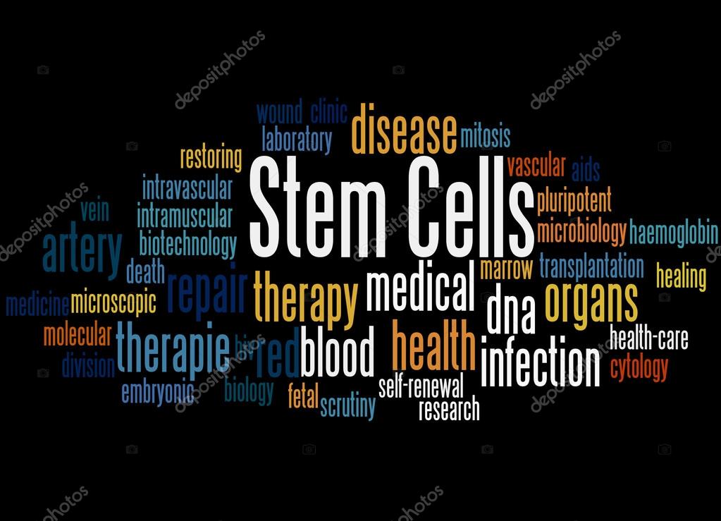 Stem cells, word cloud concept — Stock Photo © kataklinger #119066166
