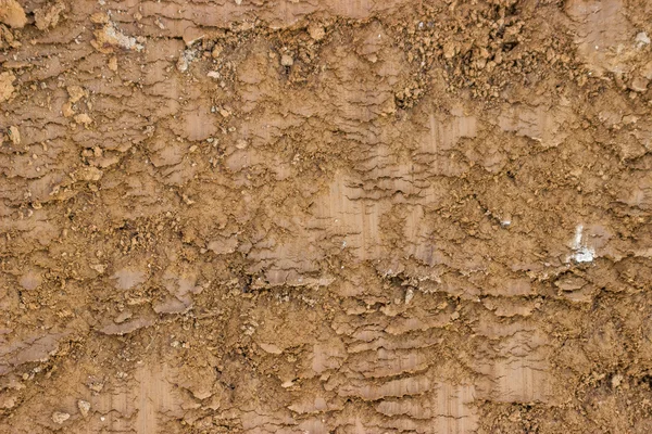 Latar belakang tekstur tanah — Stok Foto © kataklinger #60513461