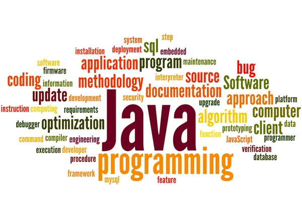 Programación Java, concepto de nube de palabras 3 2024