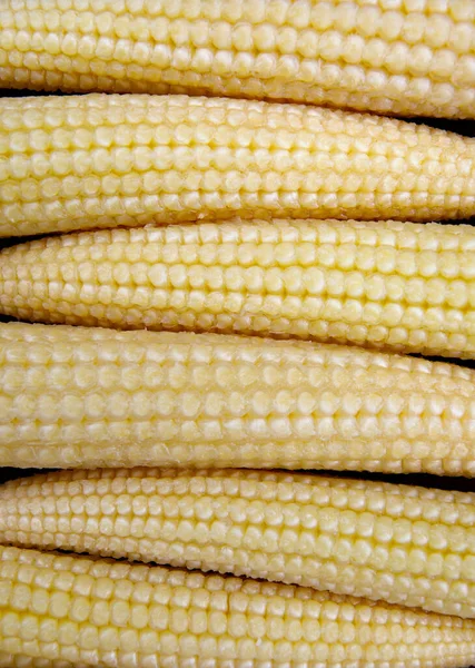 Corn teeth Stock Photos, Royalty Free Corn teeth Images | Depositphotos