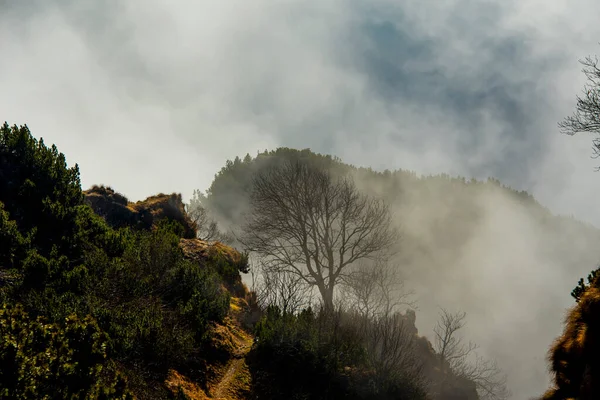 Hills fog Stock Photos, Royalty Free Hills fog Images | Depositphotos