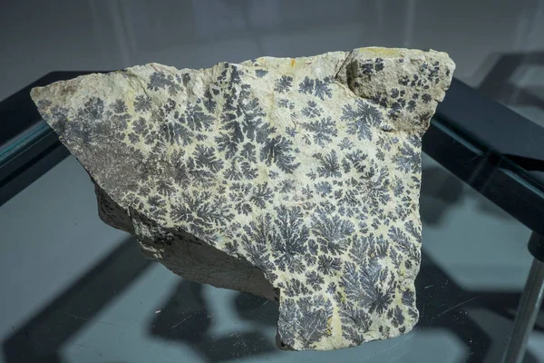 Pyrolusite Pictures, Pyrolusite Stock Photos & Images | Depositphotos®