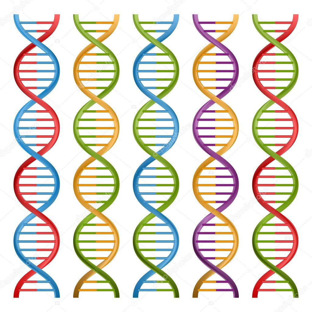 Set of DNA symbols for science and medicine. Vector design. Stock ...