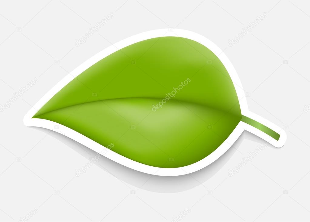 Green Leaf Sticker. Design template. Stock Vector Image by ...