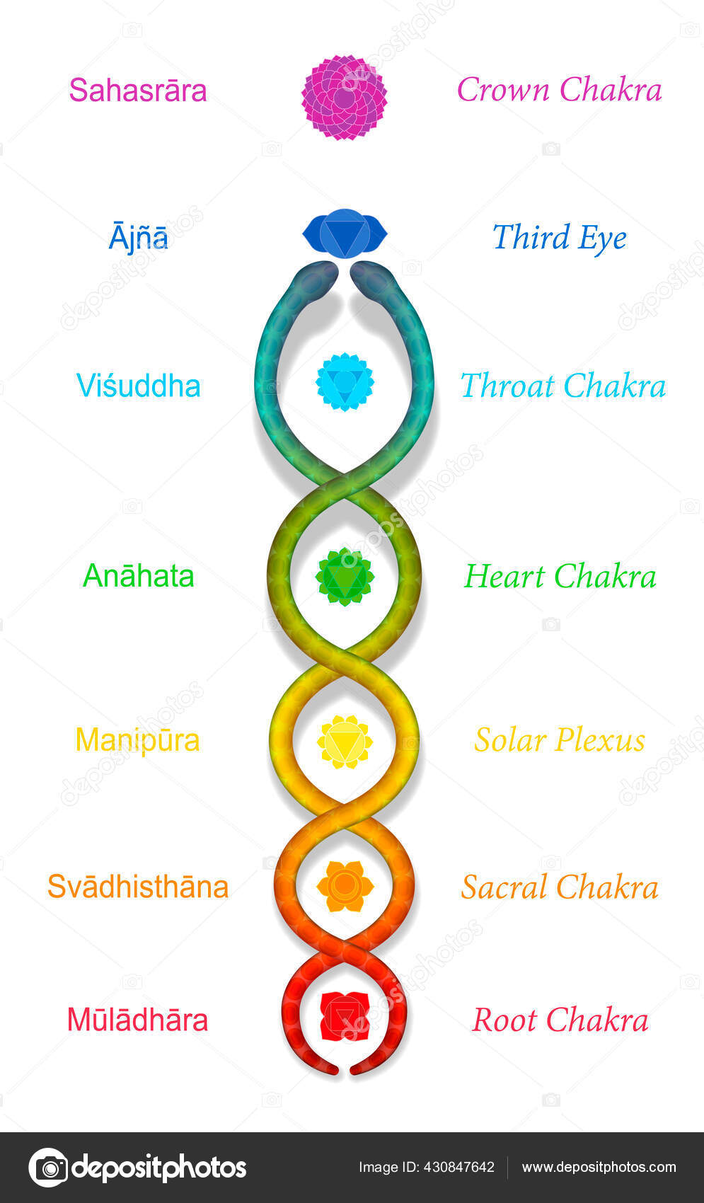 Kundalini Rising Snake