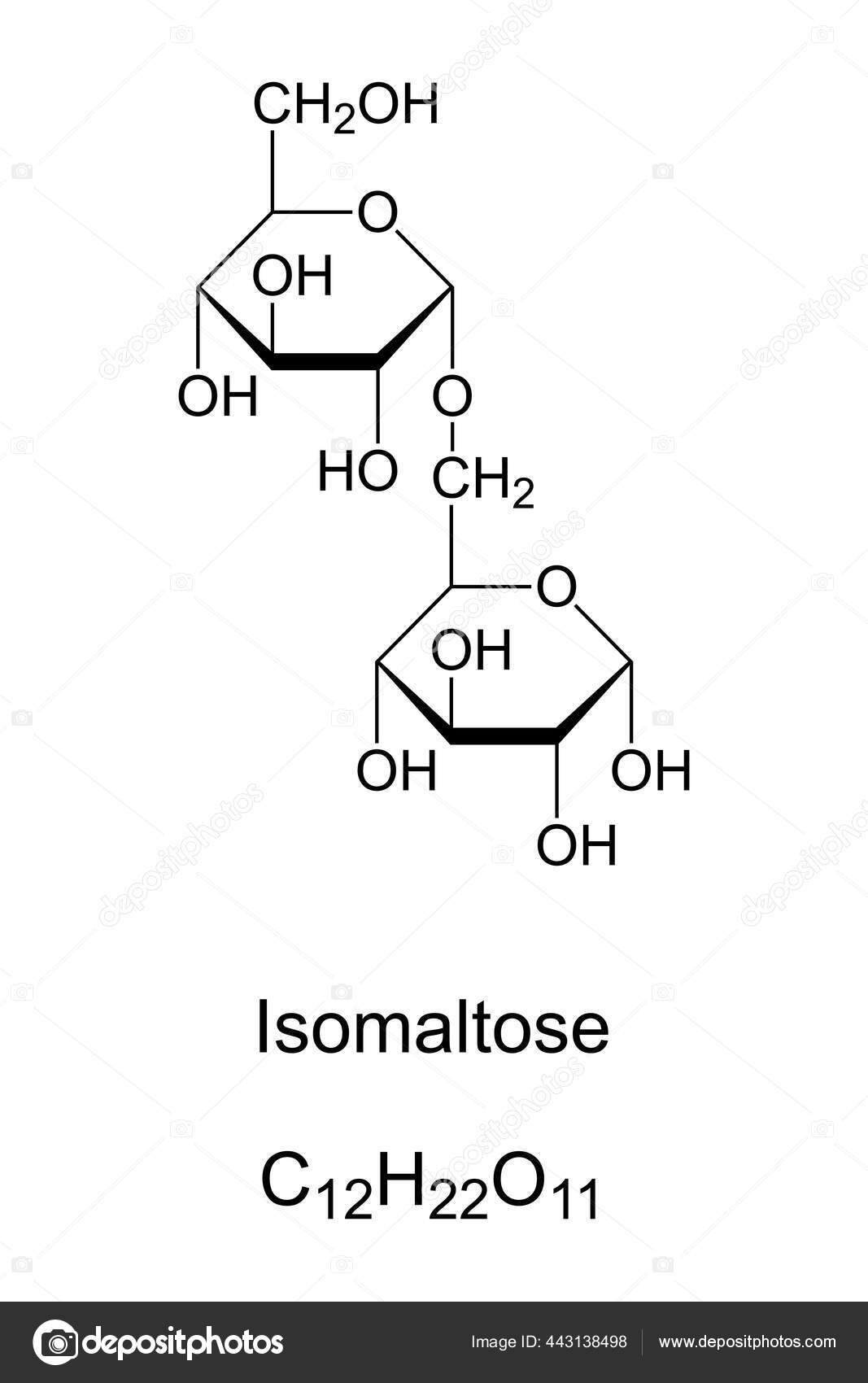 Isomaltosa Estructura Química Disacárido Similar Maltosa Una Piranosa Reducción Azúcar Vector de ...