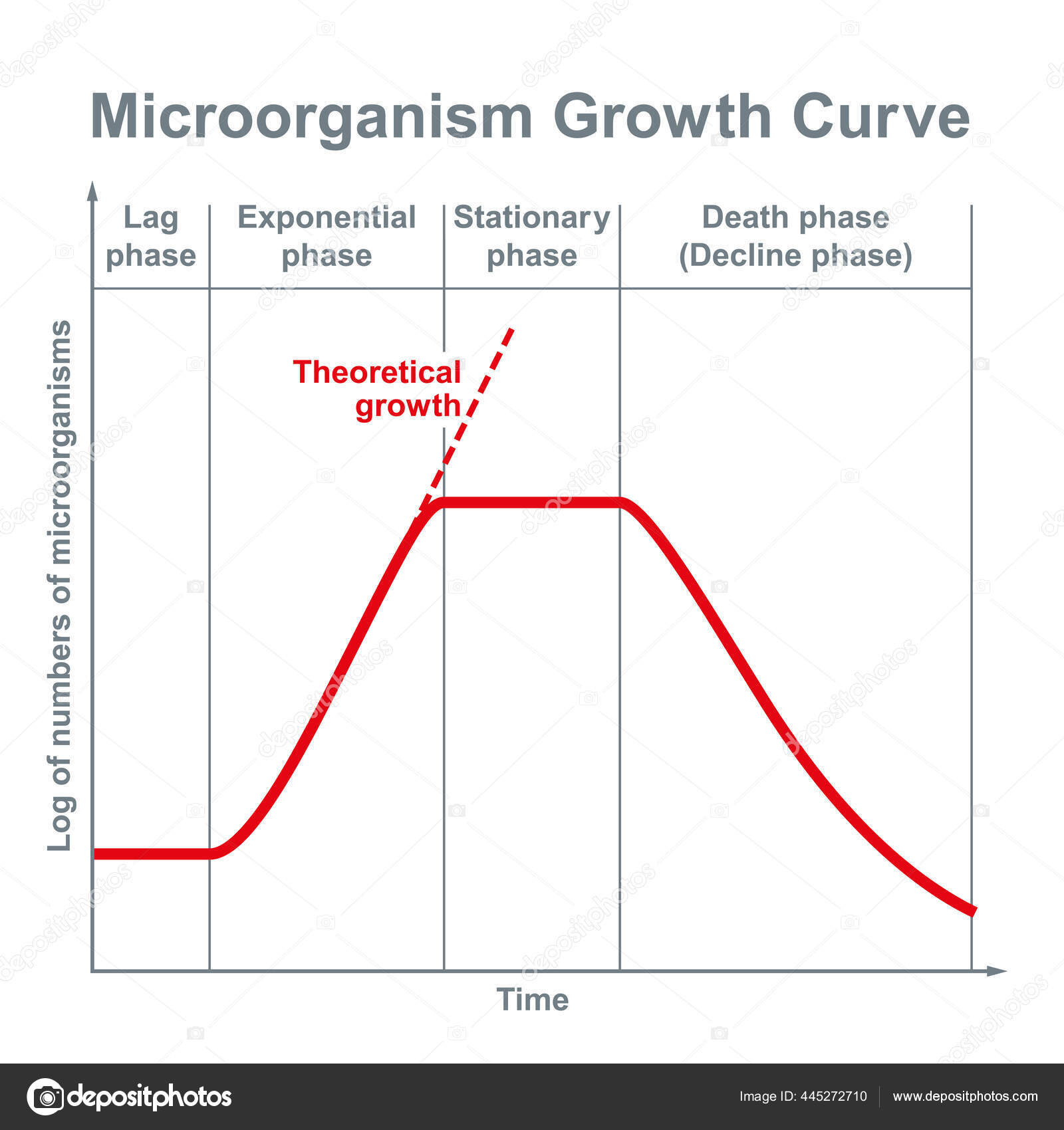 Microorganism Growth Curve Ideal Kinetic Curve Static Culture ...