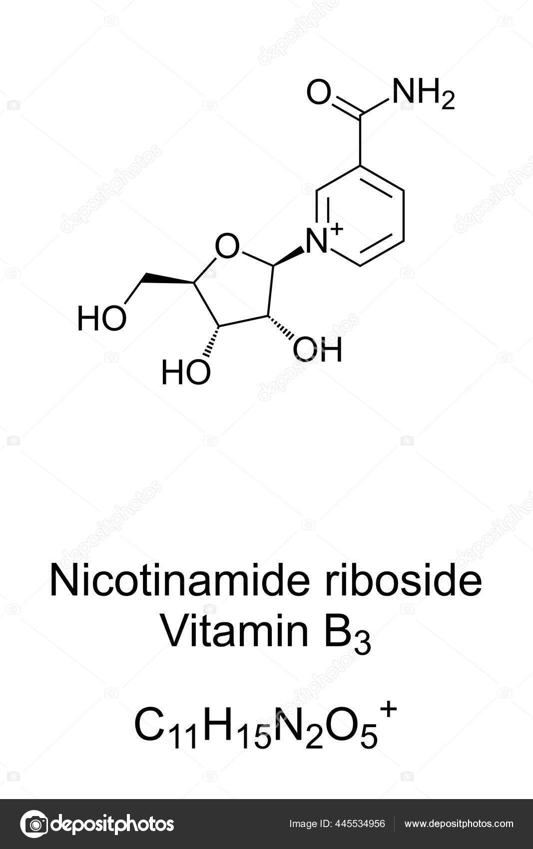 Vitamin B3 Structure Vitamin Chemical Structures