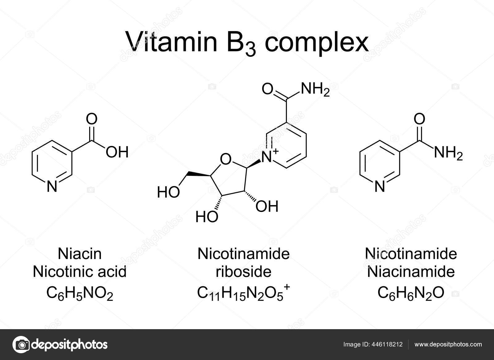 Difference Between Nicotinamide And Nicotinamide Riboside Difference Between Nicotinamide And Nicotinamide Riboside