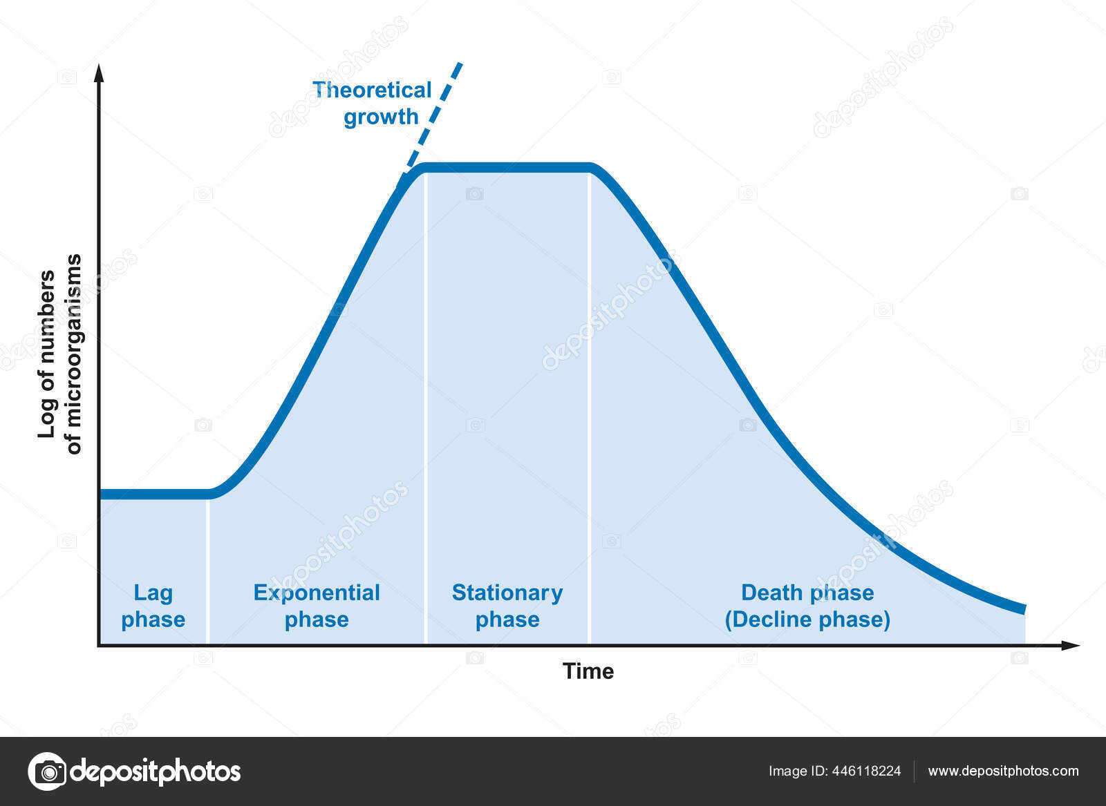 Wachstumskurve Von Mikroorganismen Ideale Kinetische Kurve Einer ...