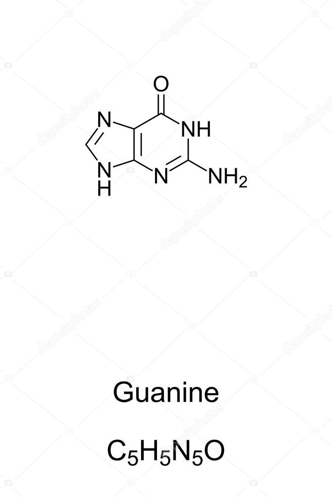 Guanine, G, Gua, chemical formula and skeletal structure. Nucleobase ...