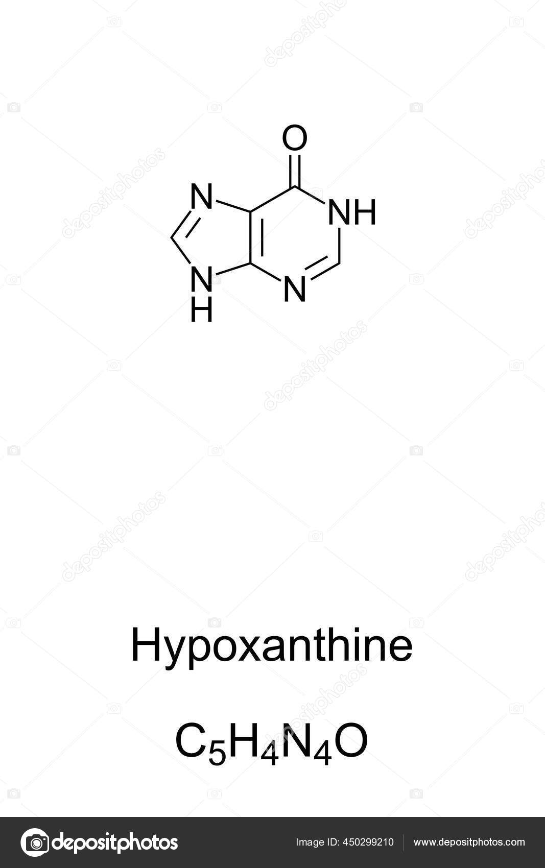Hypoxanthine Chemical Formula Skeletal Structure Naturally Occurring ...