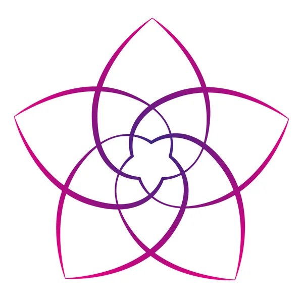 Flower of the venus Vector Art Stock Images | Depositphotos