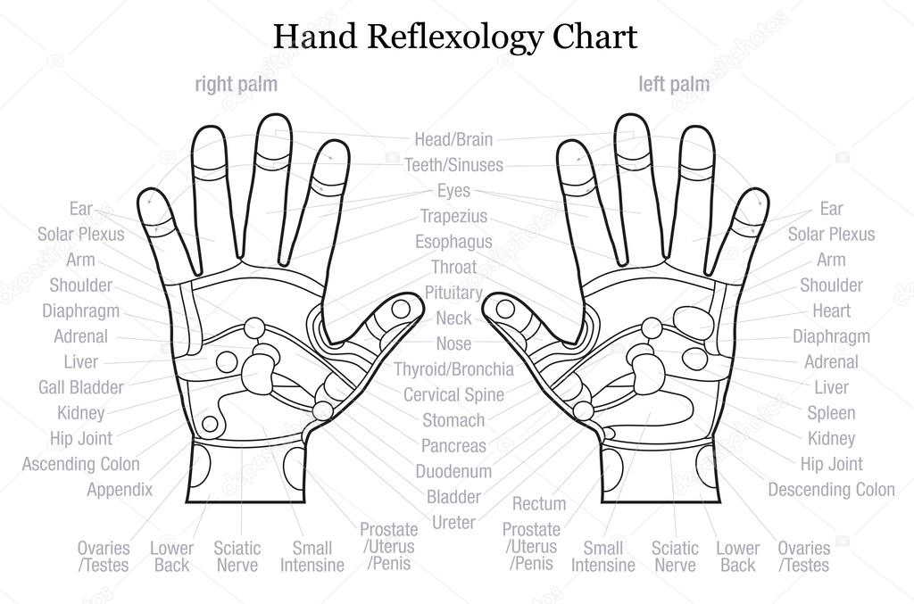 Hand reflexology chart description outline Stock Vector by ©Furian 59591853 Hand reflexology chart description outline Stock Vector by ©Furian 59591853