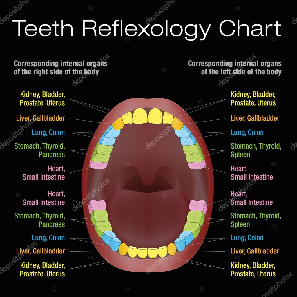 Dental reflexology chart | Teeth Reflexology Alternative Dental Health ...