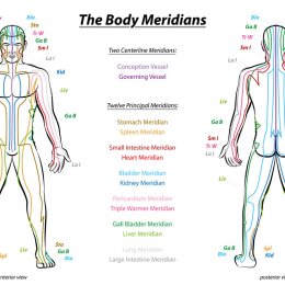 333 Meridians Vector Images | Depositphotos