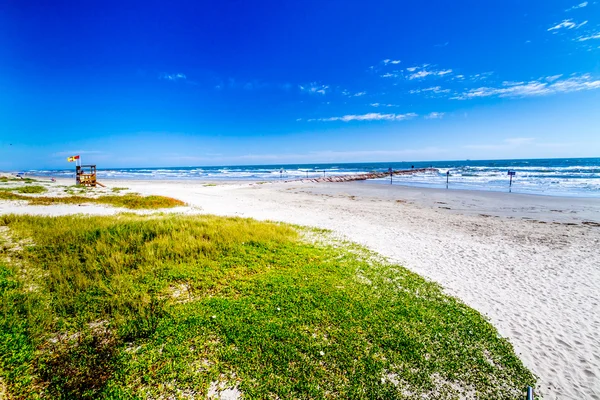 1,483 Texas beach Stock Photos | Free & Royalty-free Texas beach Images ...