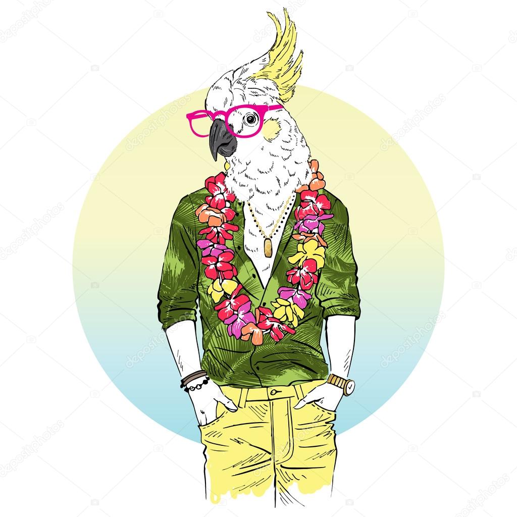Parrot man dressed up Stock Vector by ©olga.angelloz 109367564