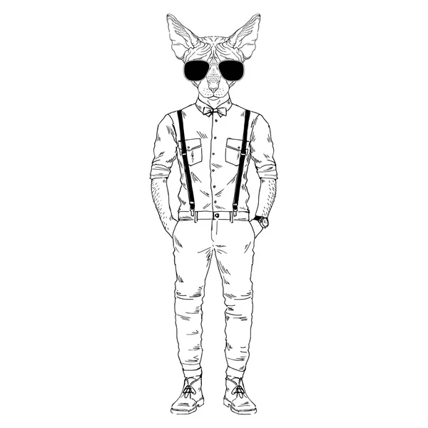 74 ilustraciones de stock de Gato flaco | Depositphotos