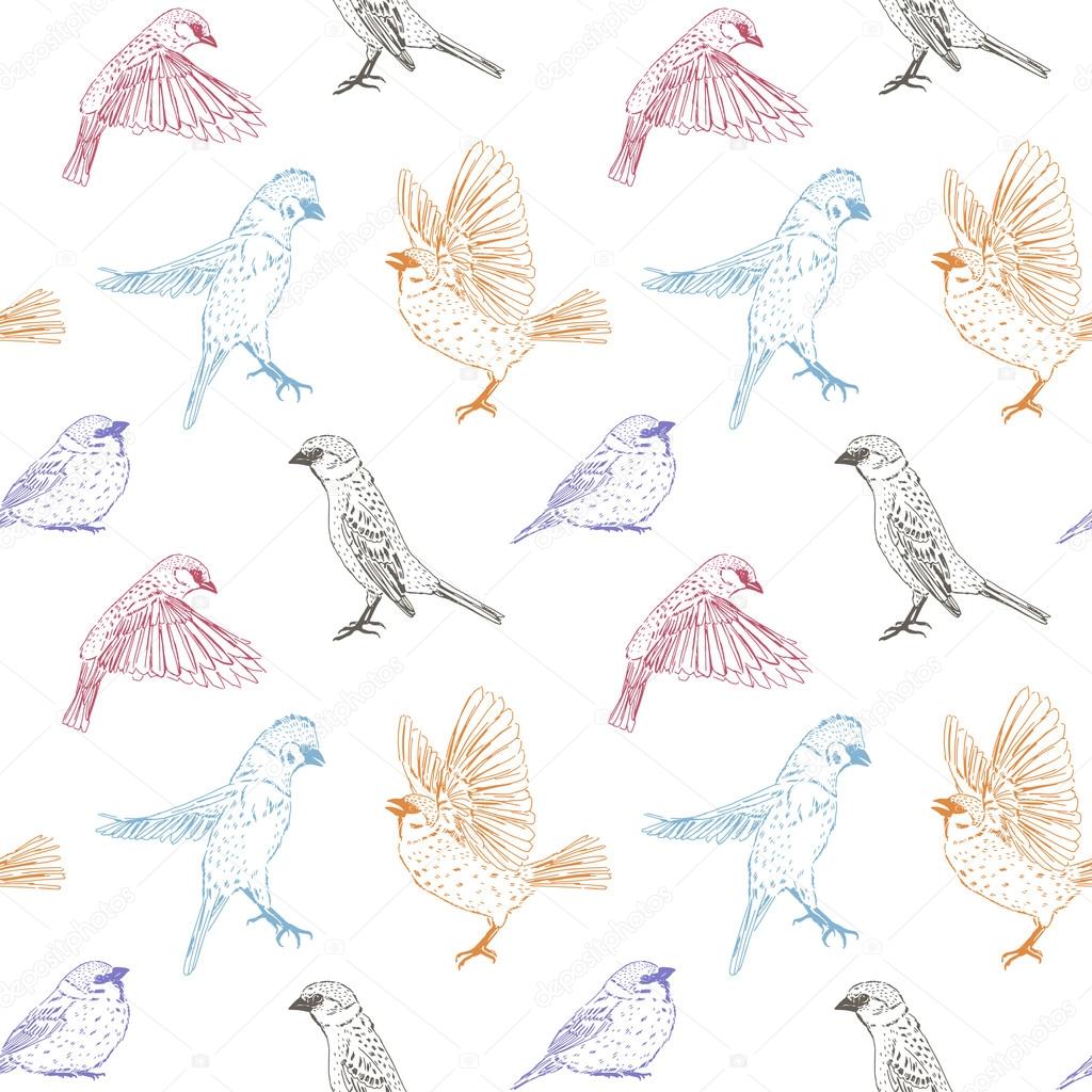 Sparrow bird pattern Stock Vector Image by ©olga.angelloz #114972280