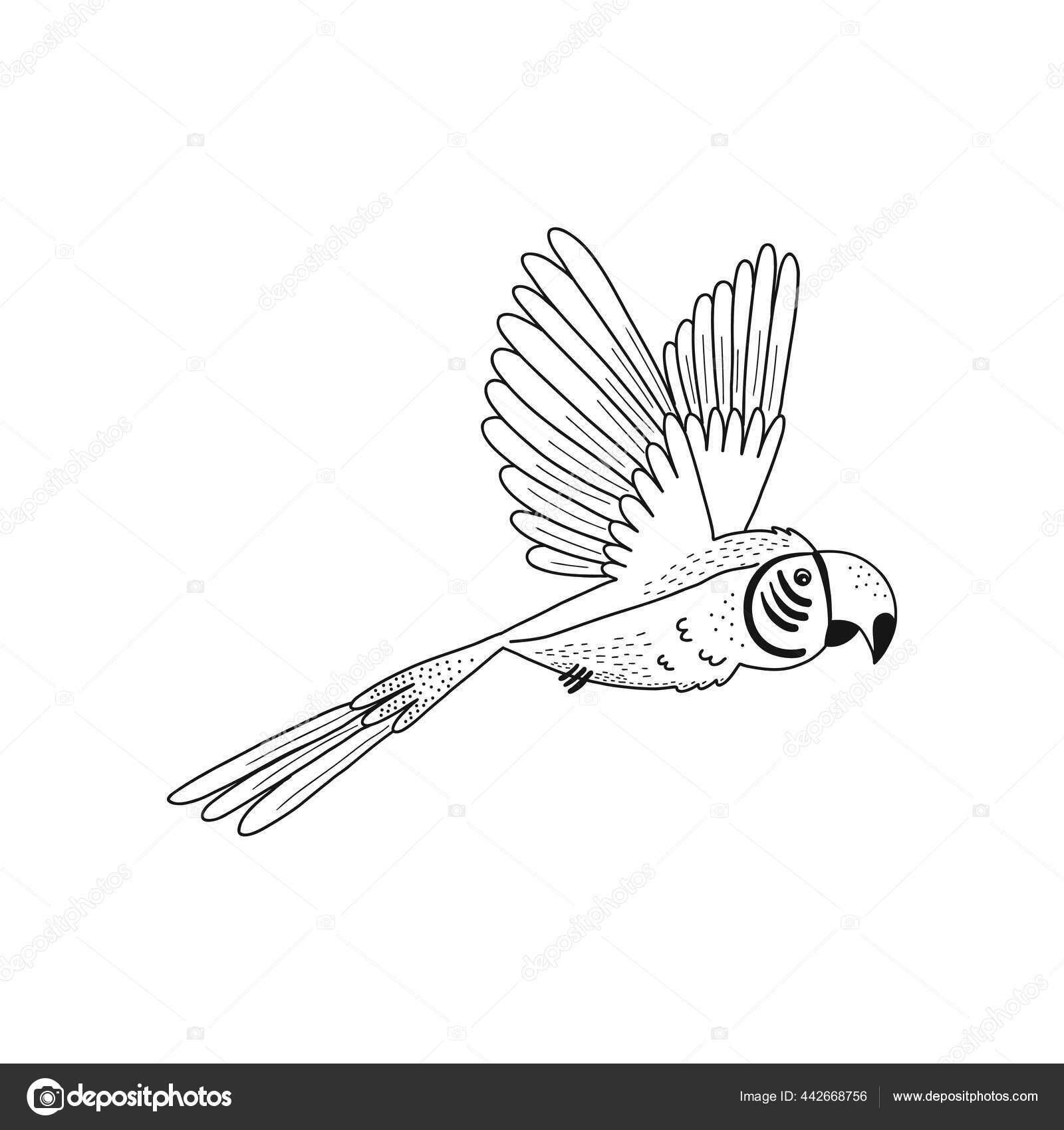 Ara parrot fly isolated illustration Stock Vector by ©olga.angelloz ...