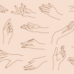 Woman Hands Pack Stock Vector Image by ©LironPeer #45157067