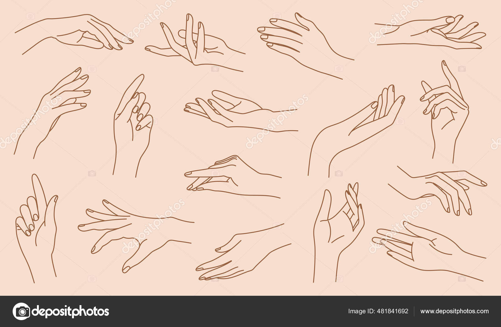 Set Delicate Women's Hand Trendy Linear Style Female Hands Various ...