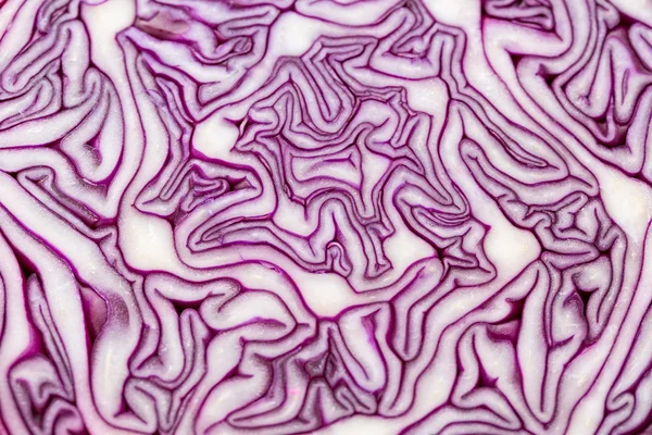 Red Cabbage macro Stock Photo by ©karandaev 1570656