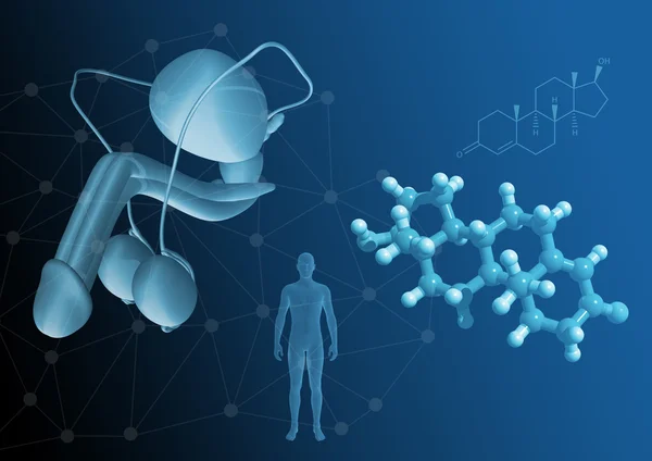 Testosterone molecule Stock Photos, Royalty Free Testosterone molecule ...