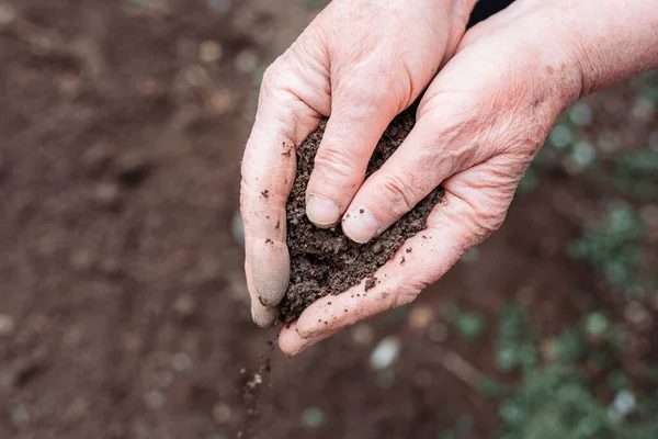 Hands on soil Stock Photos, Royalty Free Hands on soil Images ...