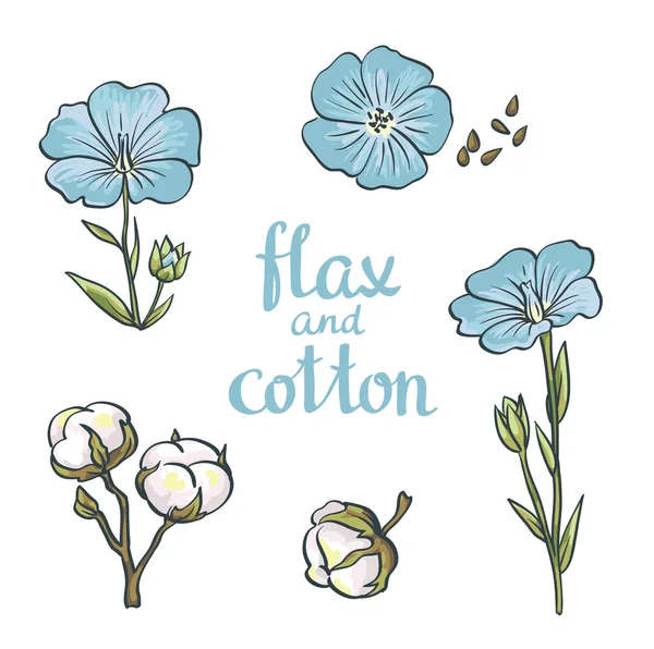 ᐈ Flax stock illustrations, Royalty Free flax botanical vectors ...