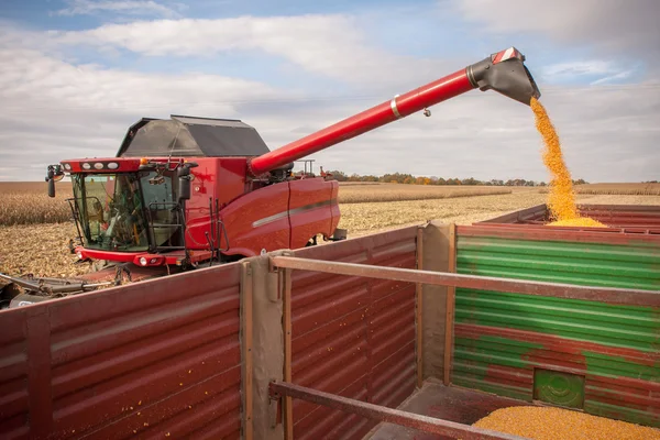 Corn production Stock Photos, Royalty Free Corn production Images ...