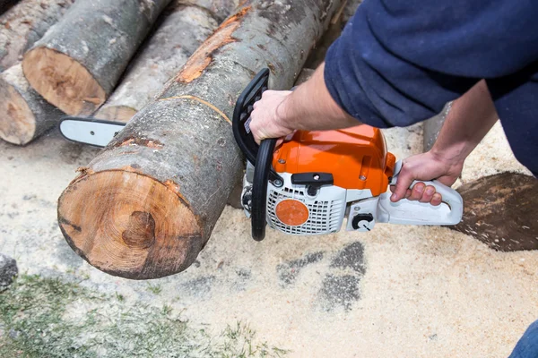 Stihl Stock Photos, Royalty Free Stihl Images | Depositphotos