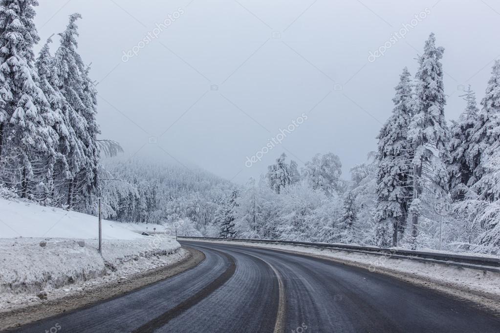 Beautiful Snowy Road
