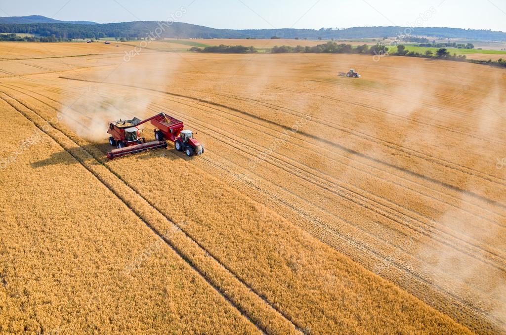 Combines and tractors working on the wheat field Stock Photo by ©Stockr ...