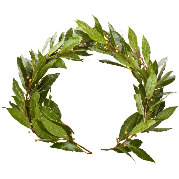 8,233 Laurel wreath Stock Photos, Images | Download Laurel wreath ...