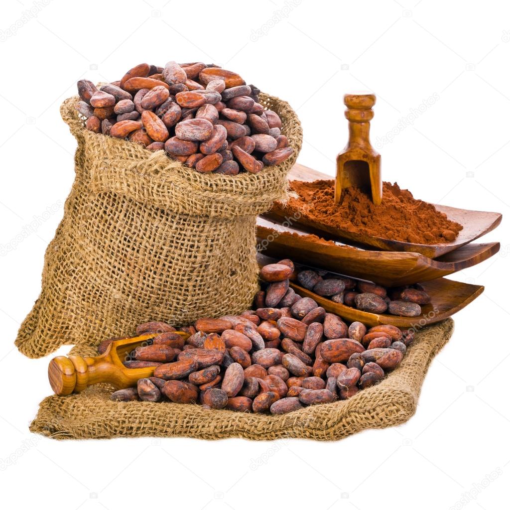 Cocoa beans in bag with scoop — Stock Photo © vanazi #67105431