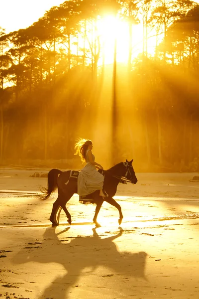 Horseback riding sunset Stock Photos, Royalty Free Horseback riding ...