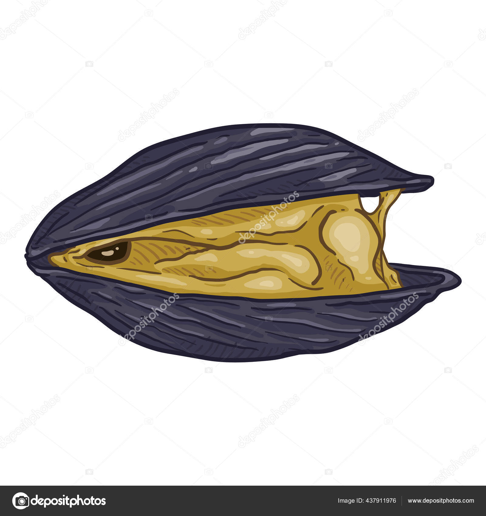Vector Cartoon Open Mussel Illustration Stock Vector Image by ©nikiteev ...