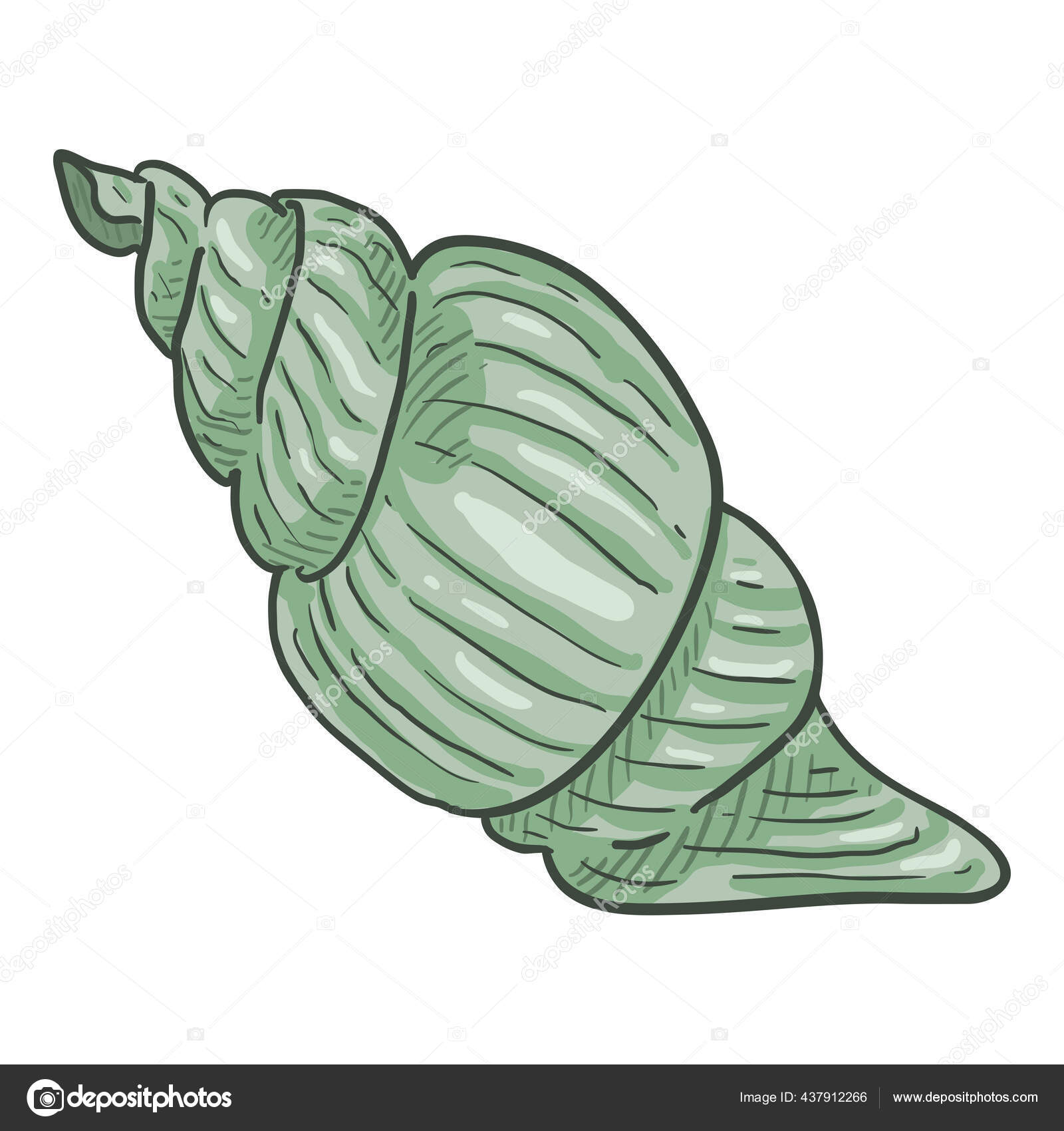 Animated Seashell