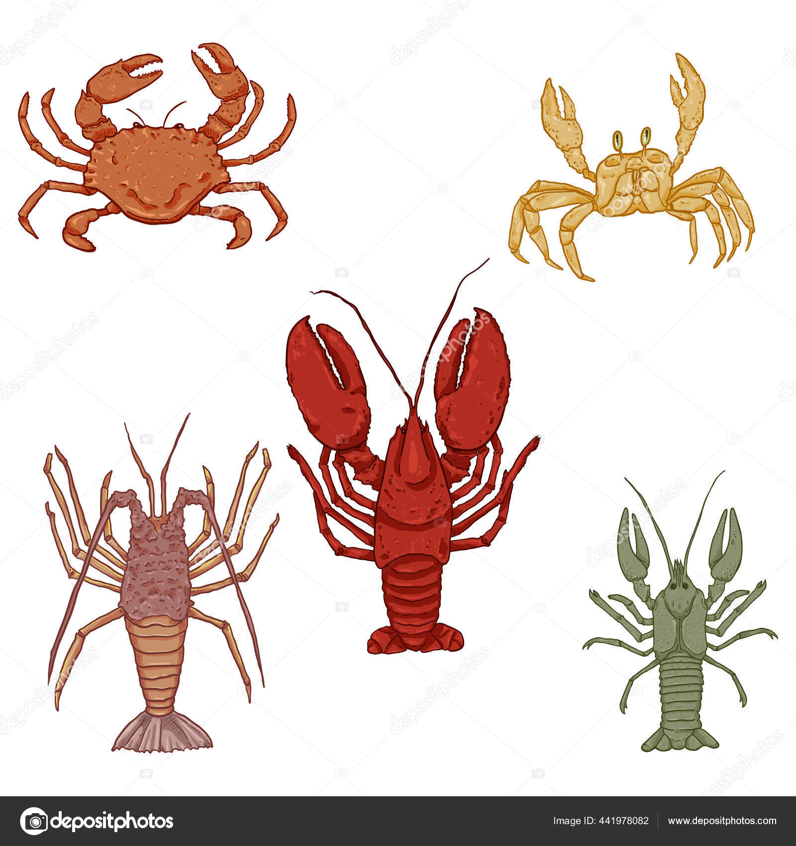 Vector Set Cartoon Sea Animals Omar Lobster Crab Crustaceans ...