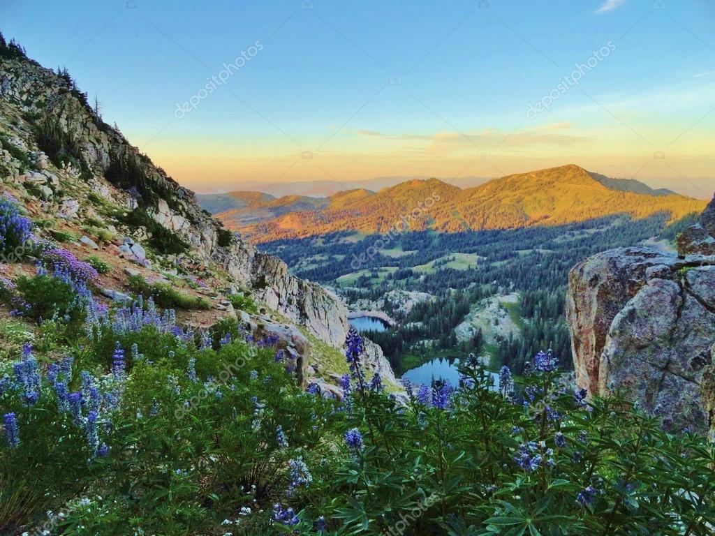 Fotografías de Ciudad De Valles, en Mexico