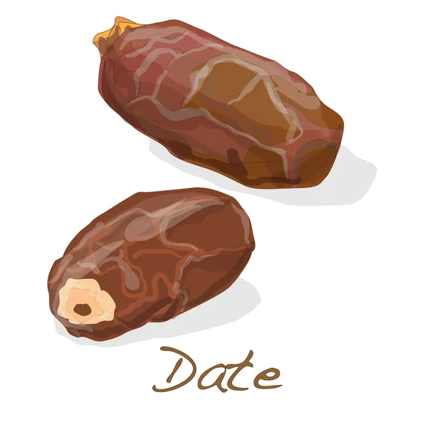 Dates fruit Stock Vectors, Royalty Free Dates fruit Illustrations ...