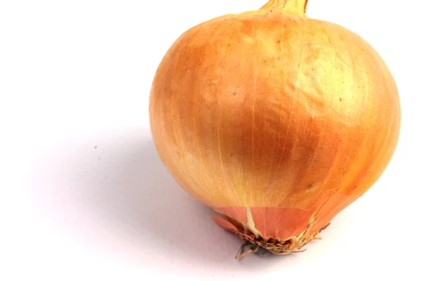 Gladiolus corm Stock Photos, Royalty Free Gladiolus corm Images ...