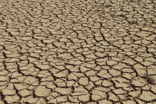 The drought land texture in Thailand. The global shortage of water on ...