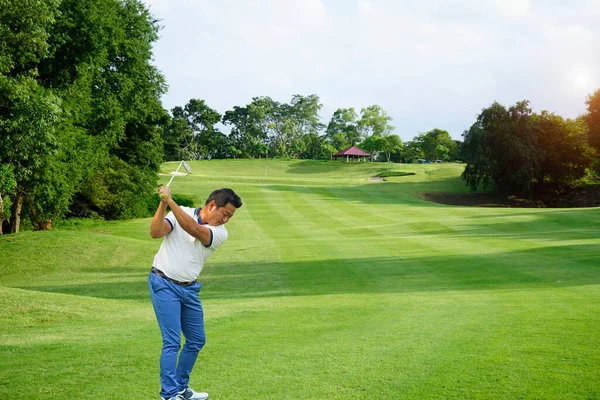 Golfer playing golf in the evening golf course, on sun set evening time ...